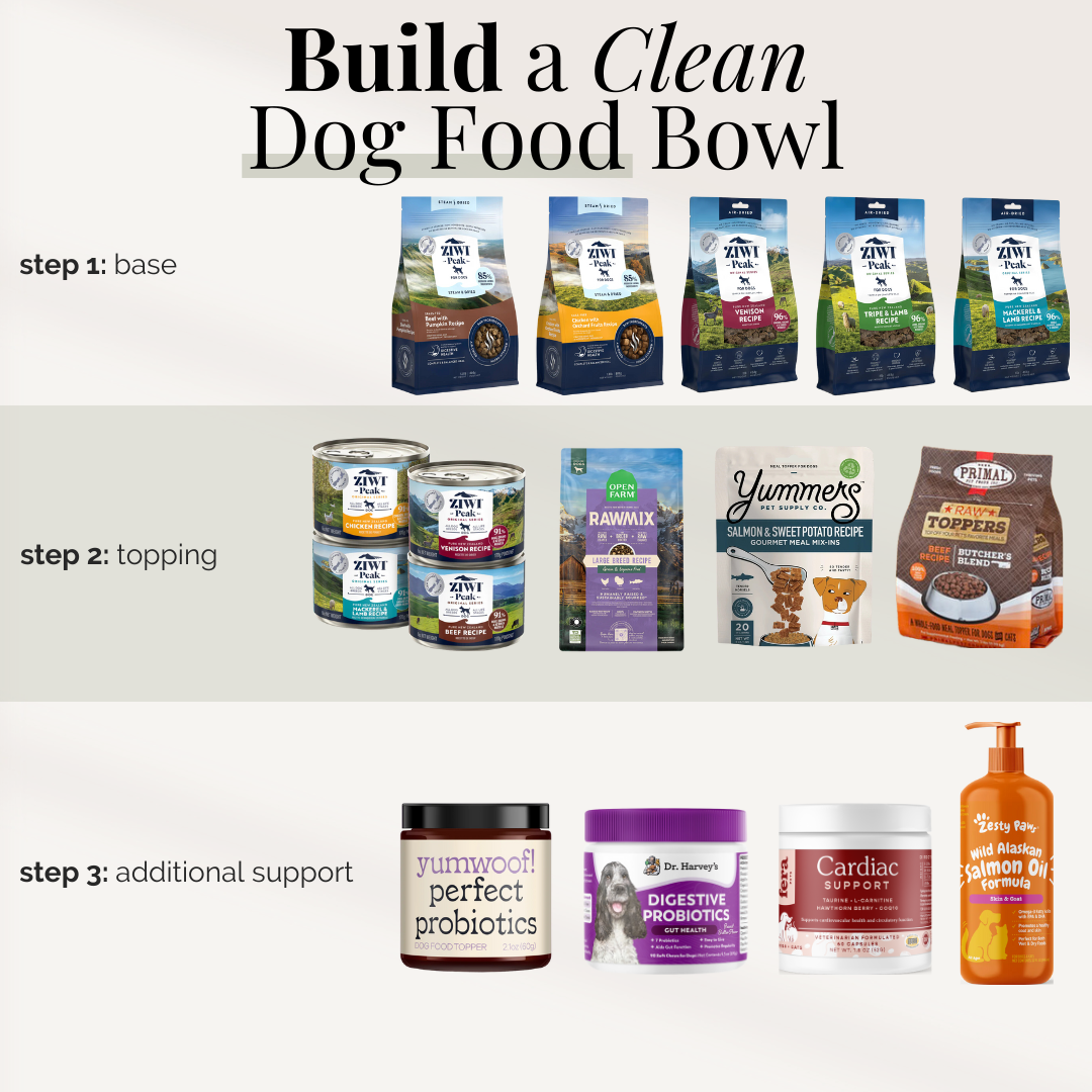 Build A Own Clean Dog Food Bowl | GIRLS WHO EAT